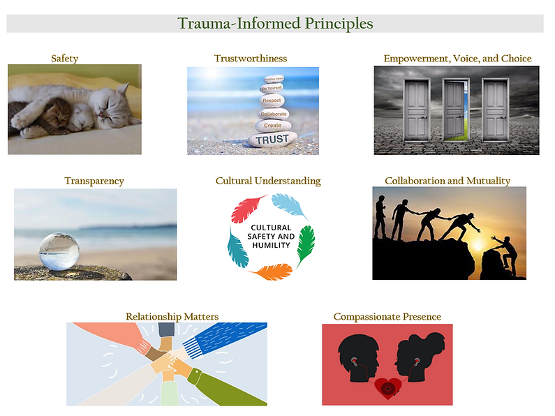 Trauma-Informed Therapy | Kitchener Therapy Co